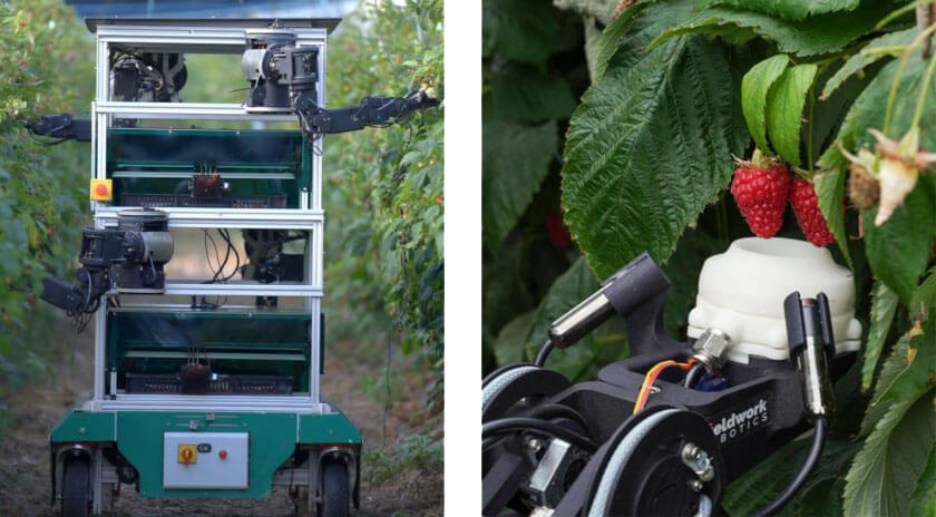 The rise of the (farming) robots: 10 agtech innovations helping to feed ...