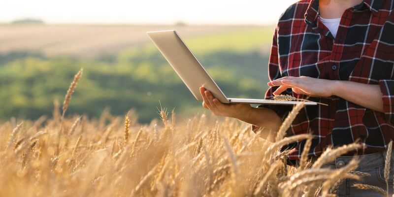 Enhancing crop protection: the impact of optical sensors in agriculture